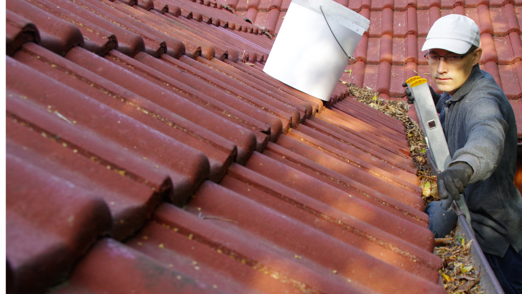 How to Clean Your Roof in Summer - A1 Roofing's Kanga Roof - Columbia ...